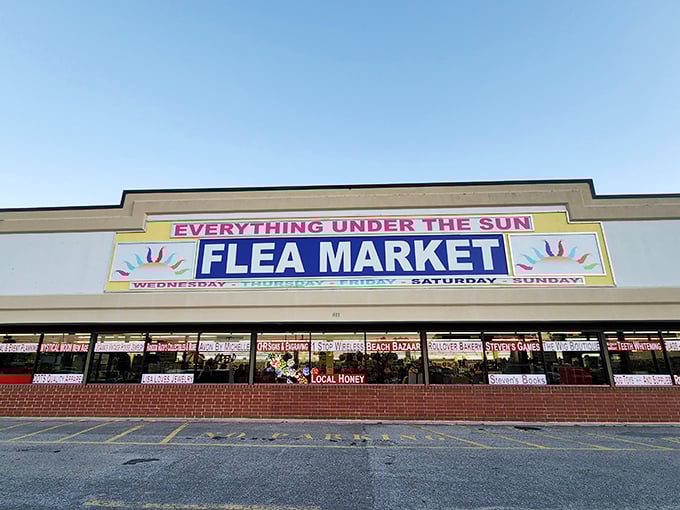 "Everything Under the Sun" isn't just a name—it's a promise kept in neon letters and endless aisles of curiosities.