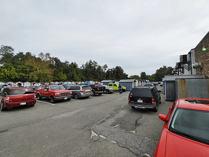 Cars and shoppers create organized chaos in this outdoor marketplace where deals bloom like spring flowers.