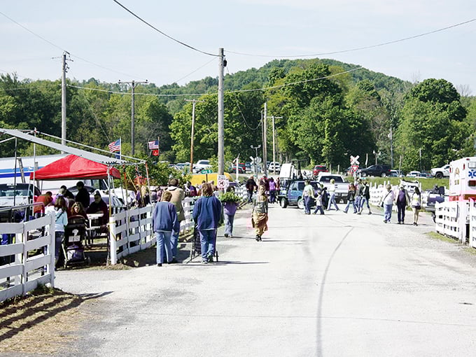 Sunshine, fresh air, and endless rows of potential treasures—Rogers Flea Market is Ohio's outdoor shopping paradise.