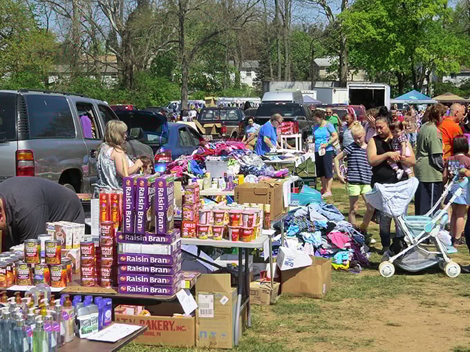 Boxes of potential treasures await at Willow Glen, where early birds and bargain hunters converge in a dance of discovery.
