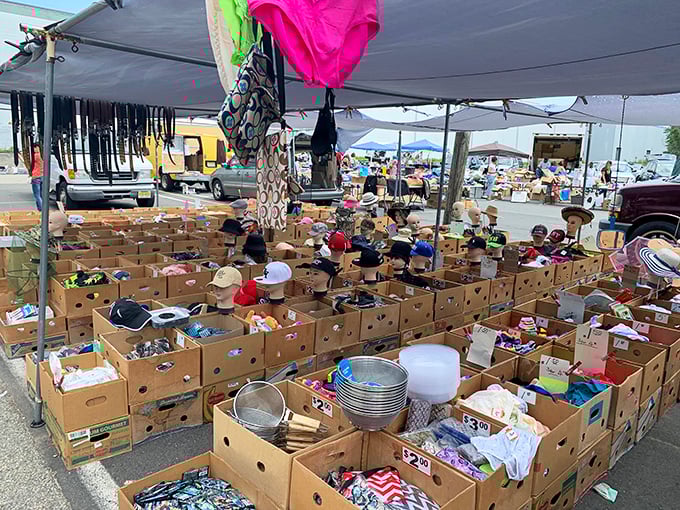Cardboard kingdoms at Avenel Flea Market! Each box a mystery, each table an adventure waiting to unfold.
