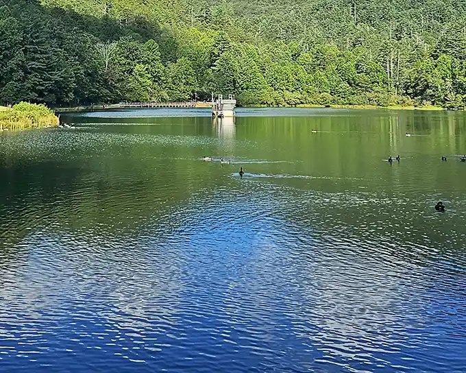 Black Rock Mountain's serene lake reflects the sky like a mirror – nature's own infinity pool without the resort prices.
