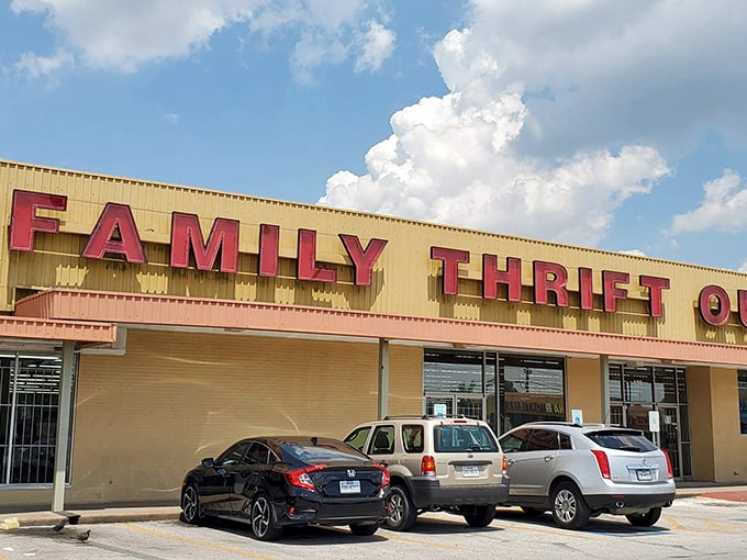 Family Thrift Center (Houston): "Like a department store from the '70s that time forgot – in the best possible way!"