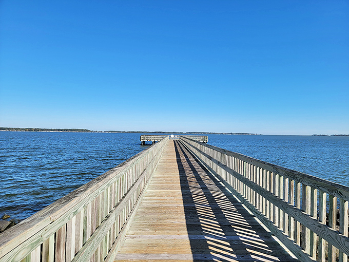 That pier isn't just wood and nails—it's your ticket to the best fishing stories you'll tell this year.