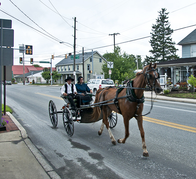 In Amish Country, even a simple walk becomes a feast for the senses. The same hands that tend these fields create those incredible pies and breads.