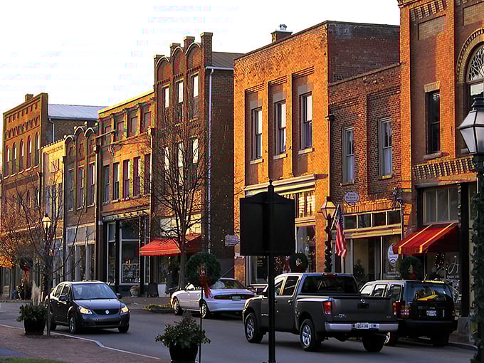 The historic district in Jonesborough feels like stepping into a Norman Rockwell painting. Small-town America at its most authentic and affordable!