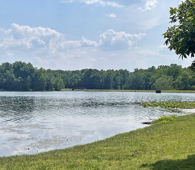 Lincoln State Park's shoreline reflects the summer sky like a mirror. Nature's version of high-definition television!