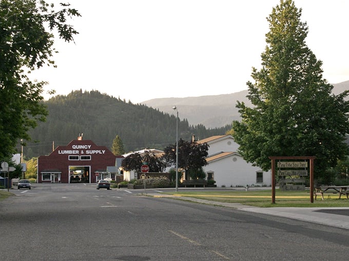 Quincy Lumber & Supply stands sentinel against mountain majesty—where hardware shopping comes with a free side of breathtaking views.