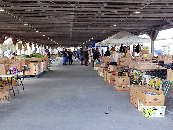 Beneath covered walkways, cardboard boxes hold mysteries waiting to be discovered by eagle-eyed shoppers.