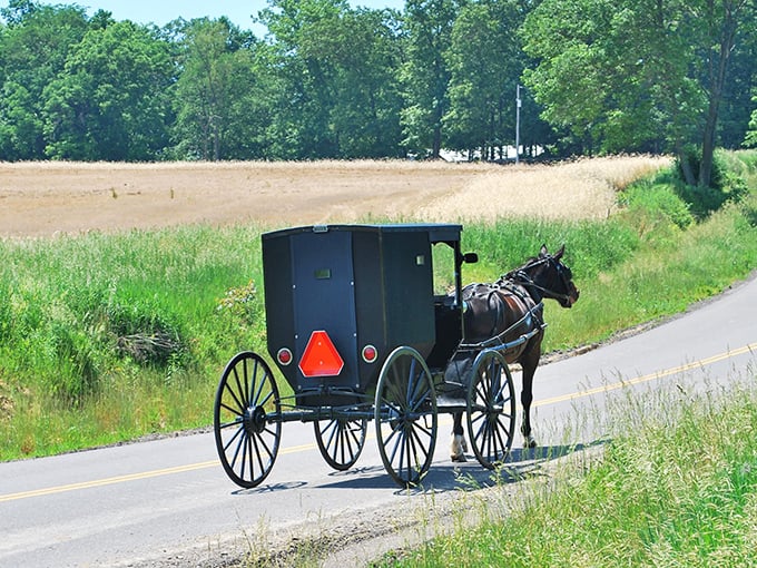 Who needs rush hour? In Sugarcreek, the pace of life is set by hoofbeats rather than horsepower.