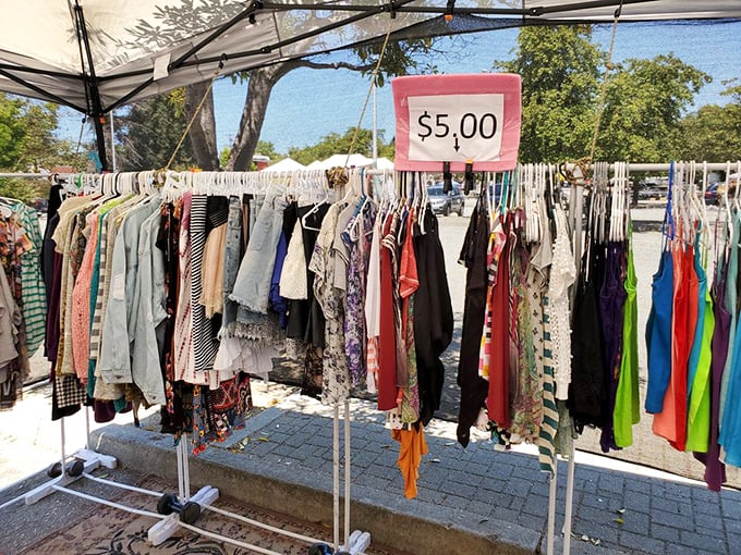 The legendary $5 clothing racks—where fashion archaeologists regularly unearth designer labels hiding among everyday threads. The thrill of the hunt never gets old!