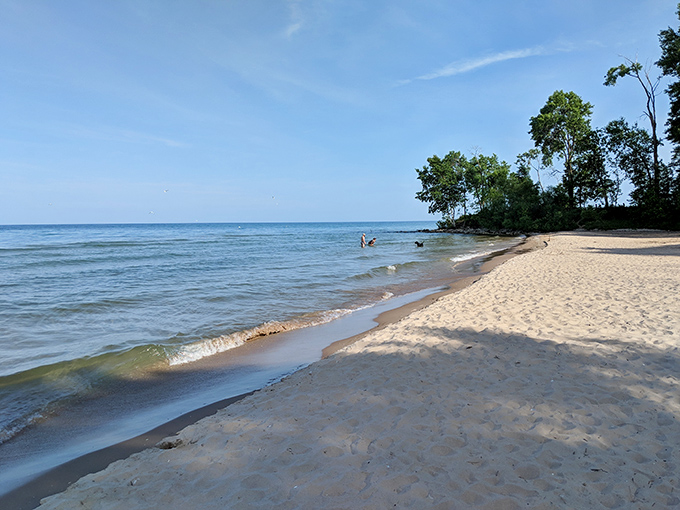 That pristine shoreline isn't showing off—it's just being its naturally gorgeous self. Lake Michigan's gentle waves provide the perfect soundtrack for an afternoon escape.
