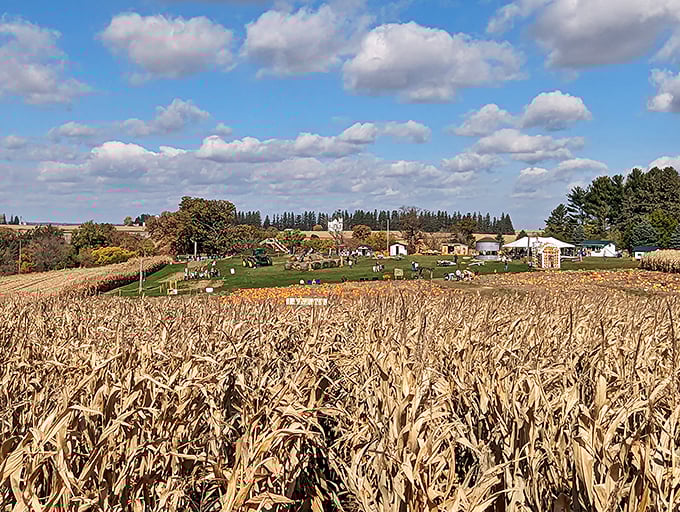 Fall in Lanesboro means corn mazes and pumpkin patches under skies so blue they'd make Sinatra jealous.