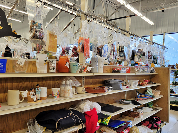 Every shelf tells a story of American domesticity – from vintage kitchen gadgets to holiday decorations that are ready for their second act.