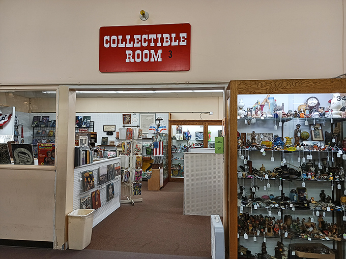 "Collectible Room" might be the biggest understatement since someone called the Grand Canyon "a nice ditch."