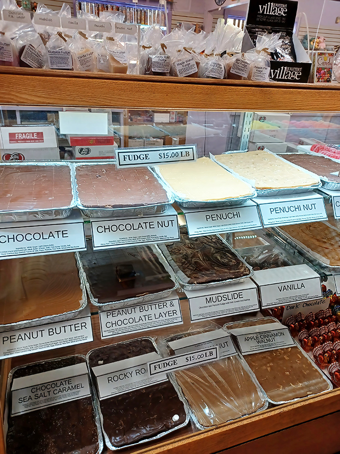 Fudge varieties lined up like delicious soldiers ready for duty. The mudslide and rocky road options are practically begging to jump into your shopping bag.