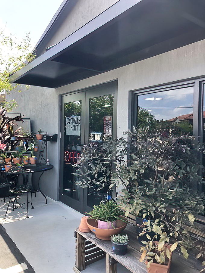 Garden decor and potted plants create a lush entryway experience. This isn't just a doorway—it's a portal to a parallel universe where yesterday's treasures await tomorrow's homes.
