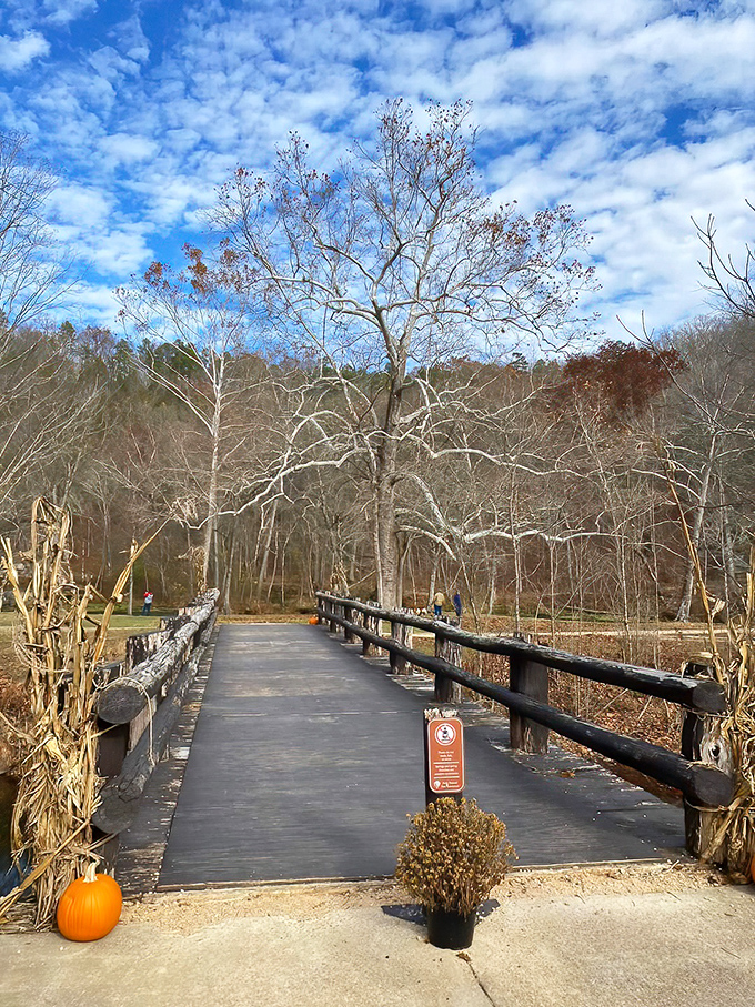 This rustic footbridge isn't just a path—it's an invitation to adventure, complete with autumn skies that look like they were painted by Bob Ross himself.