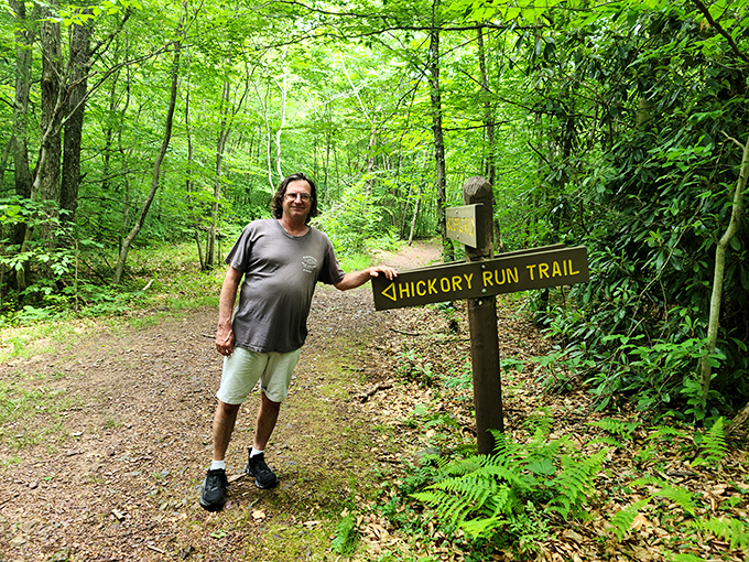 The trail beckons with a promise: follow this arrow and find yourself in a green cathedral where cell service can't find you. Blissful disconnection awaits.