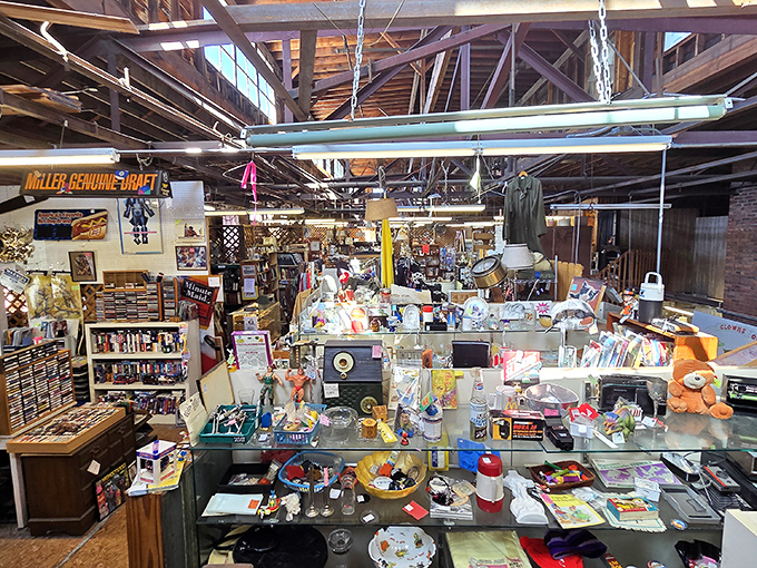 Every booth tells a different story. This isn't shopping—it's time travel with price tags, where yesterday's ordinary becomes today's extraordinary find.