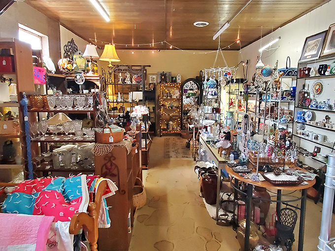 Step inside and time stops – except your heart rate, which quickens at the sight of countless treasures waiting to be discovered.