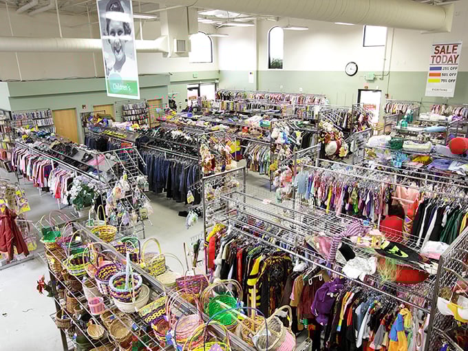 Welcome to retail paradise where every aisle offers more choices than a TV remote control.
