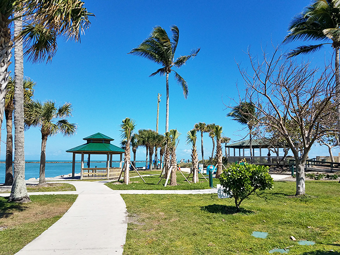 Palm trees standing at attention like nature's welcoming committee. This beachside park offers shade and serenity with a side of ocean breeze.