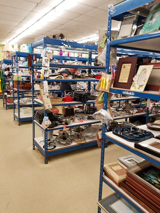 Blue shelves stacked with kitchen treasures that whisper tales of family dinners past. One person's cast-off skillet is another's heirloom-in-waiting.
