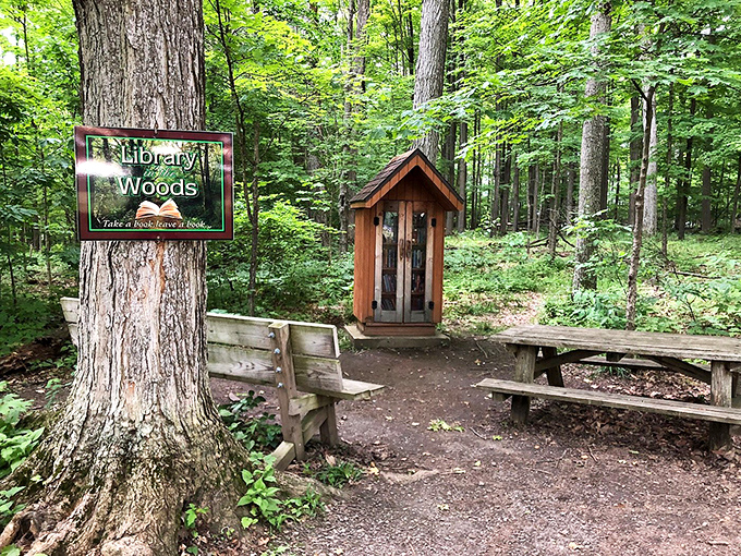 Whoever thought of putting a tiny library in the woods deserves a literary Nobel Prize – books and nature, the original power couple.