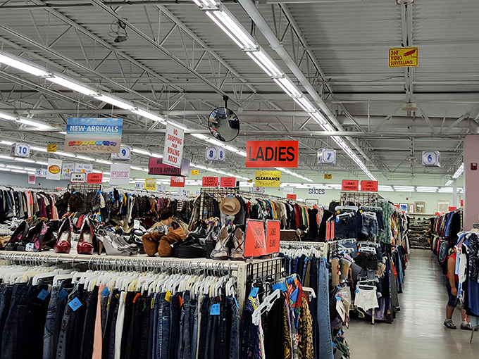 The ladies' section stretches toward infinity, a color-coded galaxy of fashion possibilities where patience yields the greatest rewards.