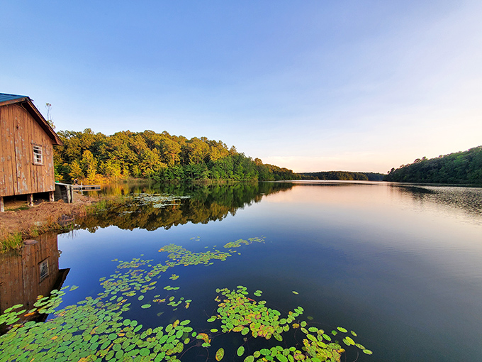 Mirror, mirror on the pond—who's the fairest state park around? Lily pads dot the glassy surface while the rustic boathouse waits patiently for tomorrow's adventures.