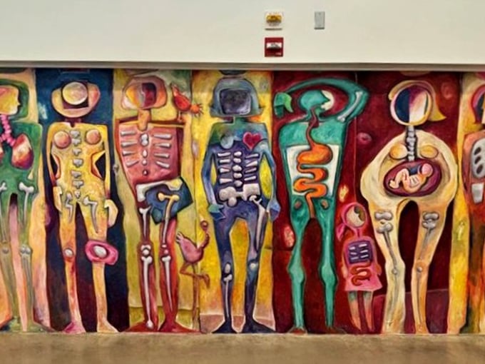 Who knew anatomy could be so colorful? This vibrant mural transforms the typically clinical view of our insides into something worthy of a modern art gallery.