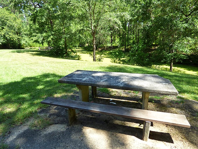 This isn't just a picnic table—it's Newberry's version of al fresco dining, where the only reservation needed is the one you make with yourself.