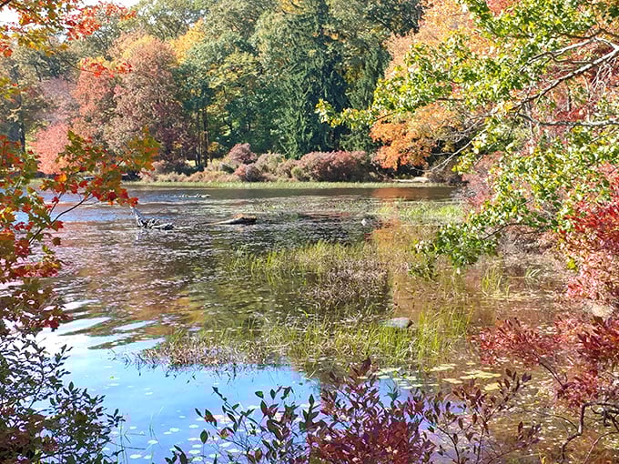 Fall's fashion show reflected in crystal waters. Mother Nature doesn't need Instagram filters when she's showing off like this.