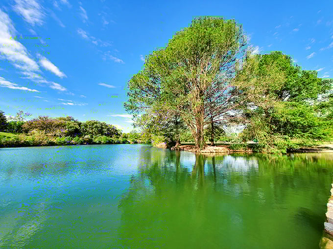 Mother Nature showing off with that impossibly clear water and those majestic trees. No Instagram filter required—this is pure Texas splendor.