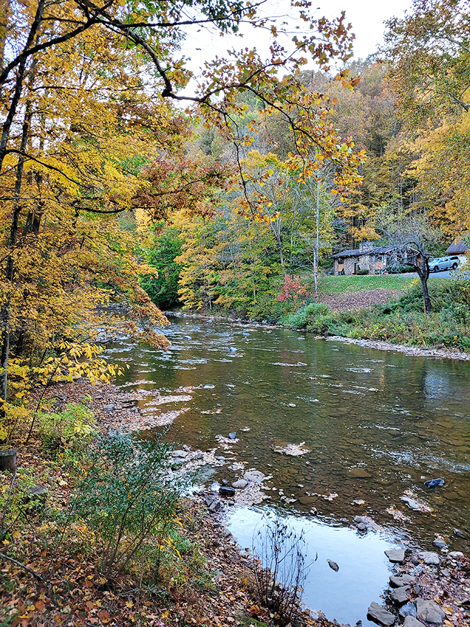 Laurel Hill Creek meanders beneath the bridge, whispering stories to anyone patient enough to listen.