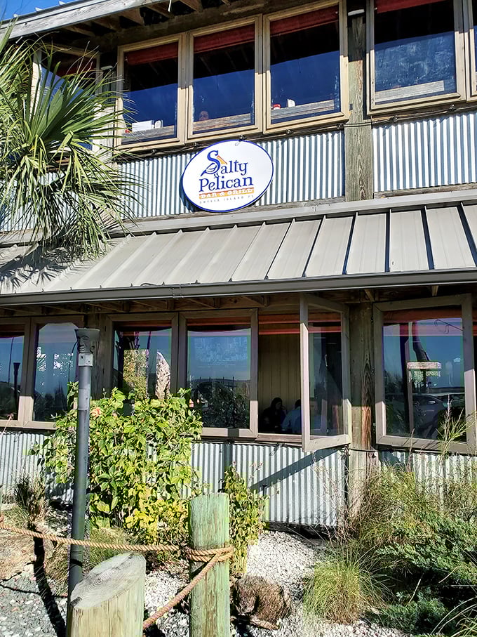 The Salty Pelican isn't just a restaurant—it's a front-row seat to coastal living. Their corrugated metal exterior says "casual" while their seafood screams "sophisticated."