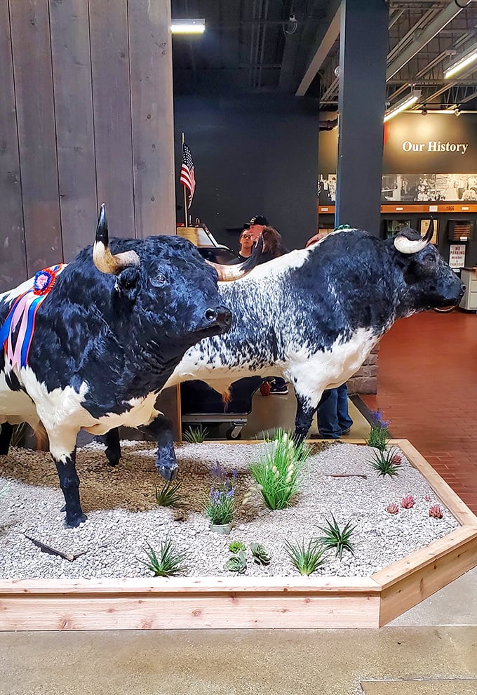 These magnificent bovine sculptures pay homage to Ohio's agricultural roots—and make for conversation-starting photo ops that'll impress your Facebook friends.