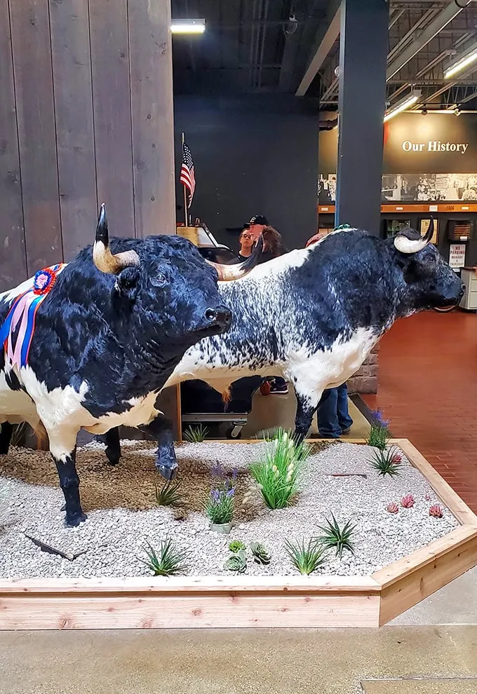 These magnificent bovine sculptures pay homage to Ohio's agricultural roots—and make for conversation-starting photo ops that'll impress your Facebook friends.