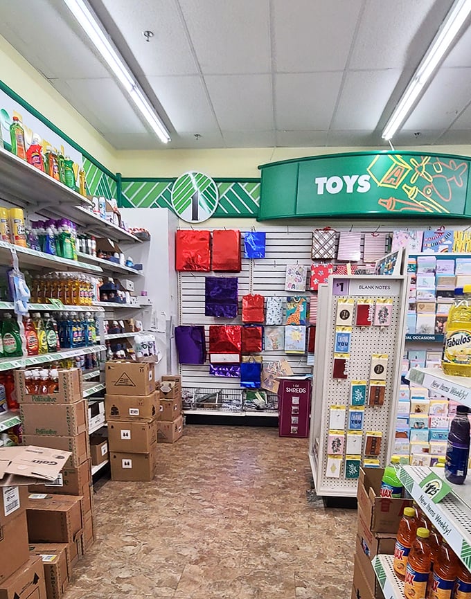 Toy paradise or parent trap? This colorful corner offers childhood joy without the wallet pain that usually accompanies it.