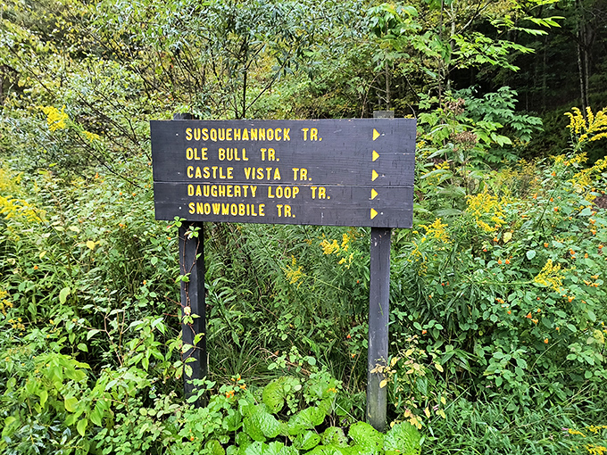 Trail signs that promise adventure in every direction – like a choose-your-own-outdoor-novel where every ending involves spectacular views and possibly sore calves.