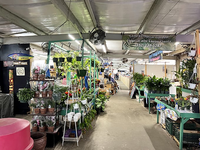 Nature's department store! This plant paradise offers enough greenery to turn your home into a mini-Everglades without the alligators.