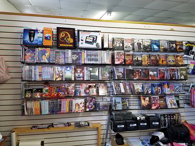 A wall of nostalgia where forgotten films find new audiences. Each DVD case holds not just a movie, but the memory of when we actually had to rewind things.