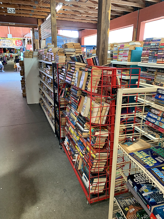 A bibliophile's dream come true—shelves upon shelves of literary treasures waiting for their next chapter in someone's home library.