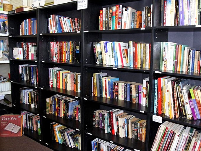 Bibliophiles beware—you might need to clear another bookshelf at home after browsing these well-organized literary treasures waiting for their next chapter.