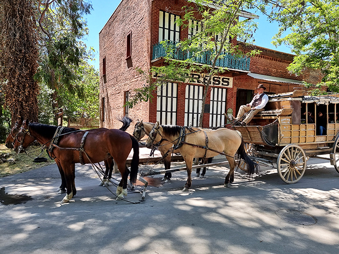 No Uber required here – this horse-drawn carriage offers the original ride-share experience outside the historic Express office.