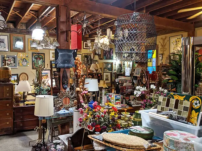 Every corner tells a story in this wonderland of vintage treasures. That lamp might have illuminated Hemingway's first draft in another life!