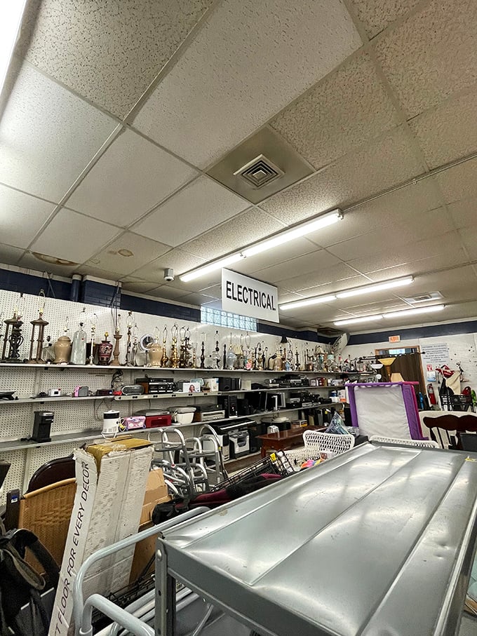 The electrical department: where vintage lamps and appliances await their second act on life's quirky stage.