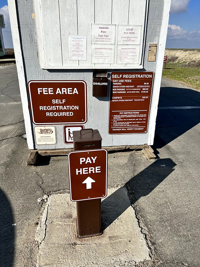 The humble payment station—proof that some of life's most enlightening experiences still cost less than dinner and a movie.