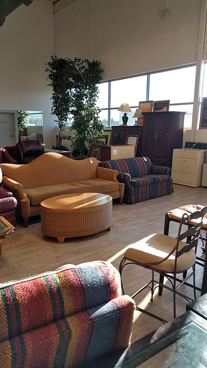 The living room section feels like visiting your stylish aunt's house—if your aunt sold everything at prices that make your wallet smile.
